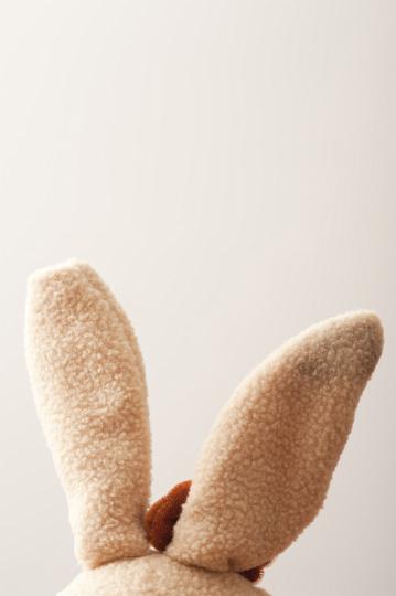 Easter Bunny Rabbit Ears Creative Commons Stock Image Easter Bunny Rabbit Ears Creative Commons Stock Image